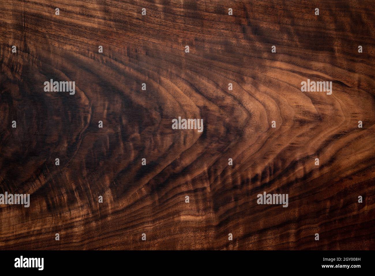 Walnut natural texture, texture elements, texture background Stock ...