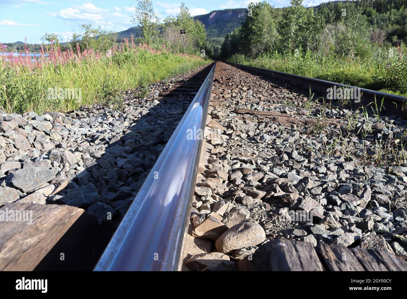 The shiny top view of a rail on a train track Stock Photo - Alamy