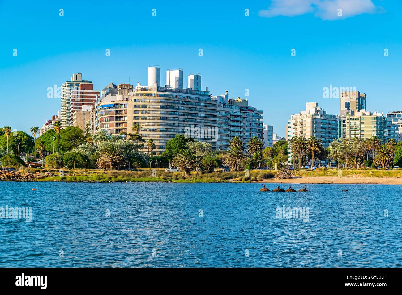 Waterfront buildings urban coastal scene at montevideo city, uruguay ...
