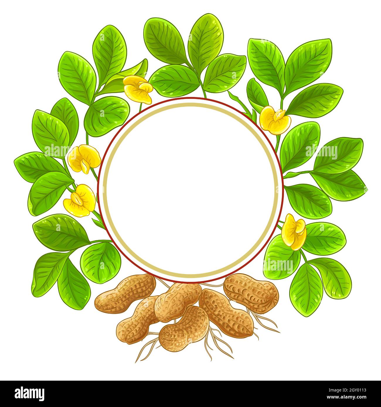 peanut circle vector frame on white background Stock Vector Image & Art ...
