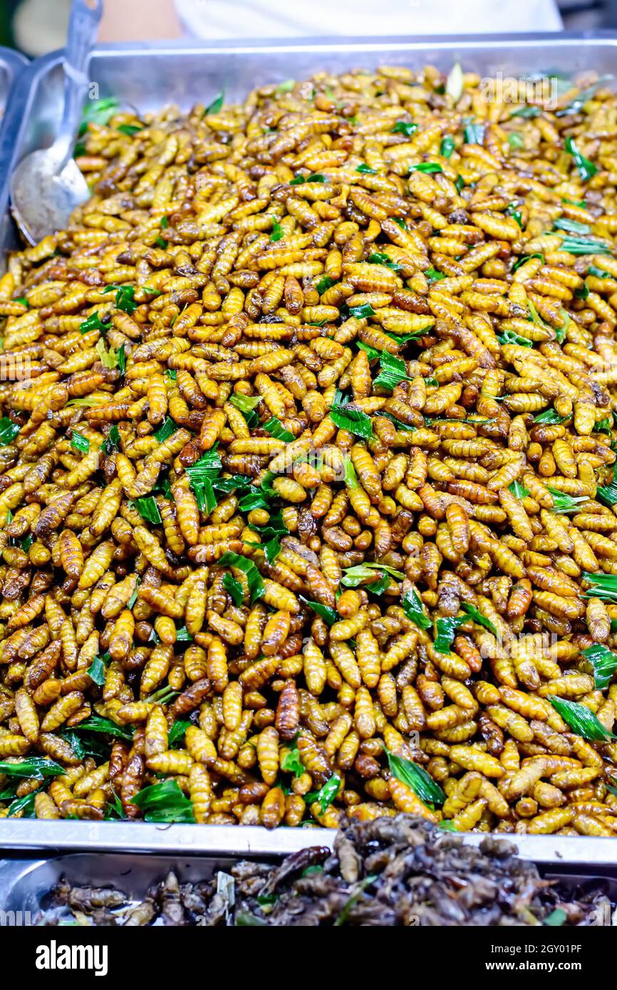 Insects and worms is fried food. The people of Southeast Asia like to ...
