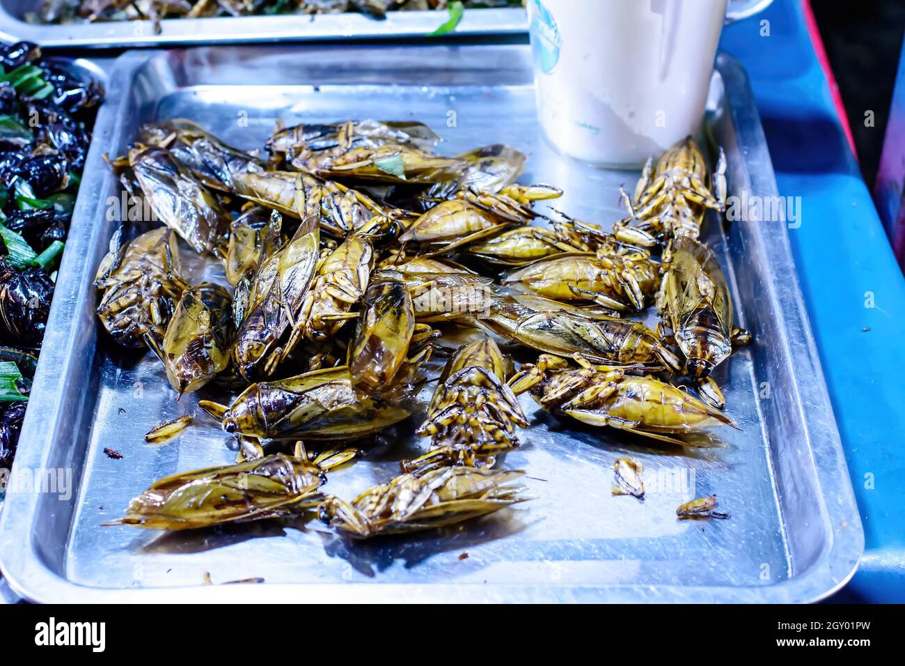 Insects and worms is fried food. The people of Southeast Asia like to ...