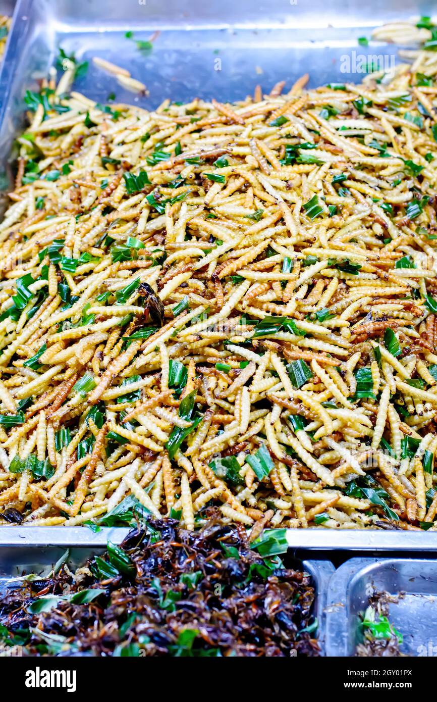 Insects and worms is fried food. The people of Southeast Asia like to ...