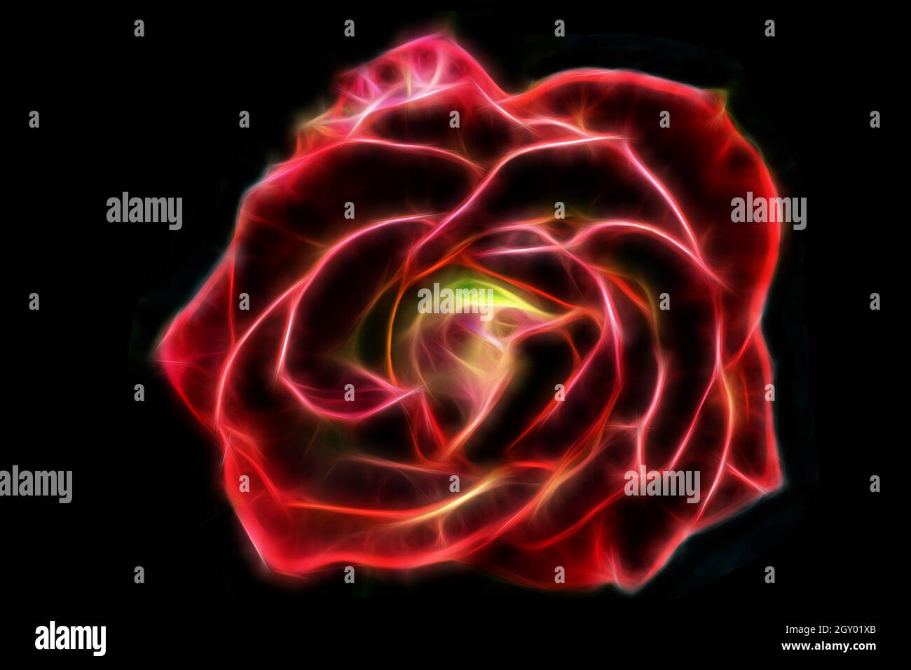 Abstract background lines roses hi-res stock photography and images - Alamy