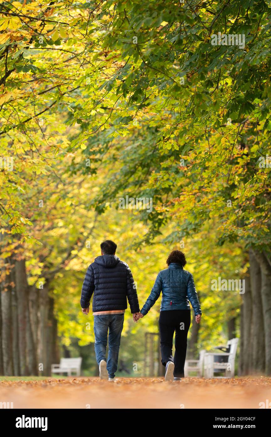 Dresden, Germany. 06th Oct, 2021. Passers-by walk under autumn coloured ...