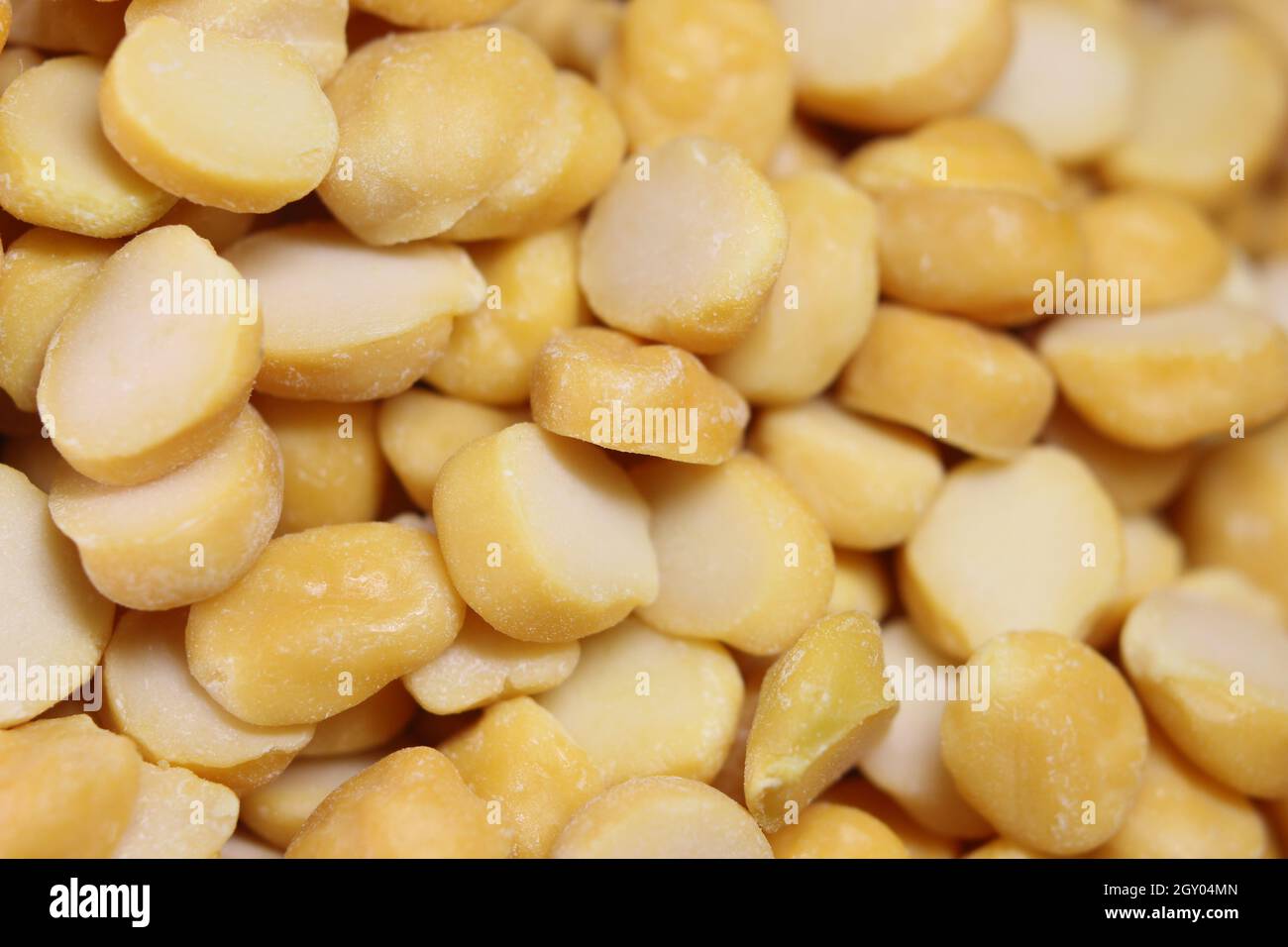 Yellow chickpea lentils seeds macro closeup view. Chana daal or yellow ...