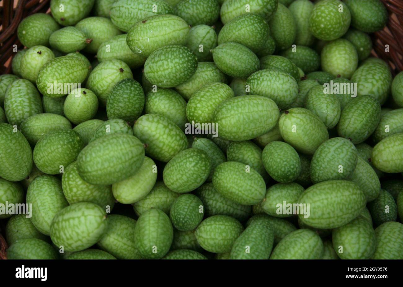 Mini watermelons hi-res stock photography and images - Alamy