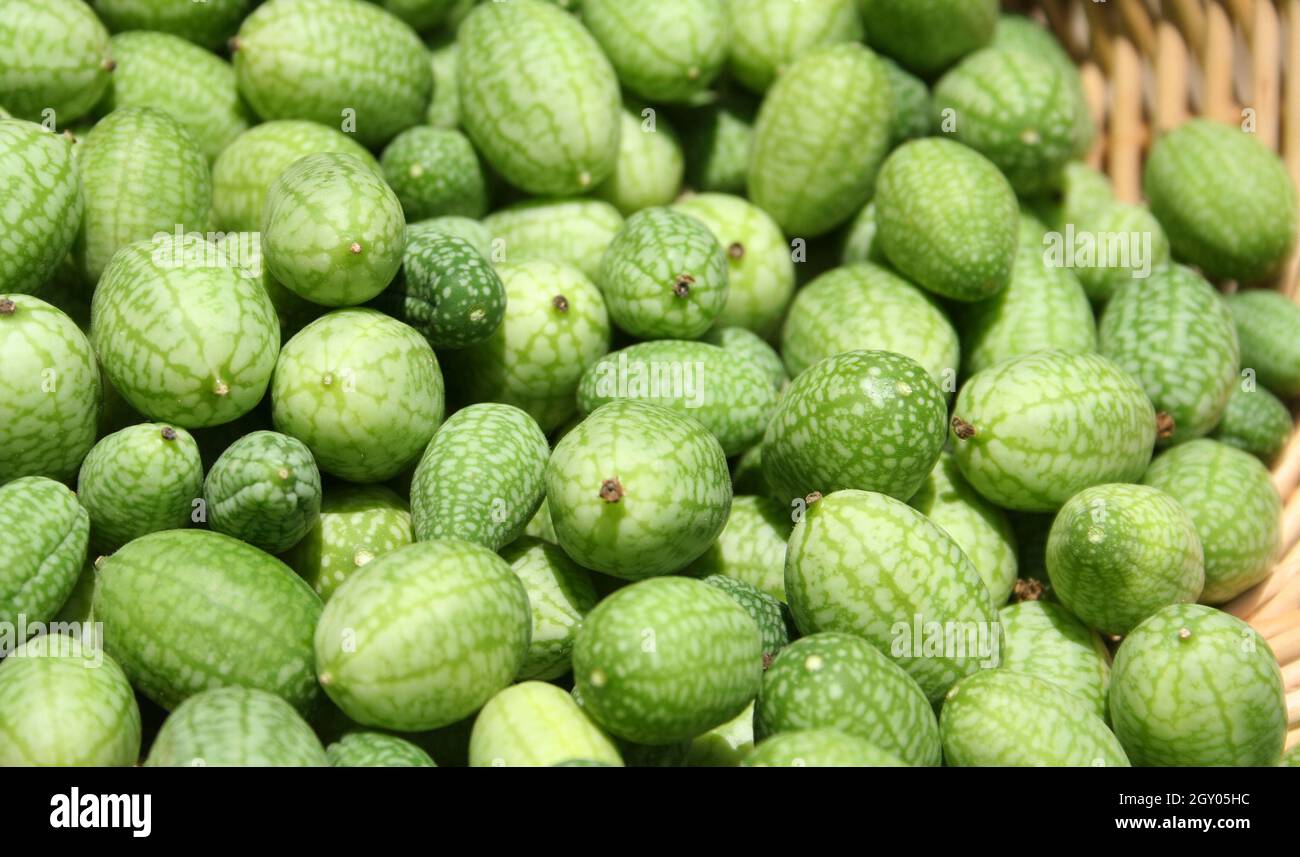 Miniature Mexican Watermelons - Melothria scabra Stock Photo - Alamy