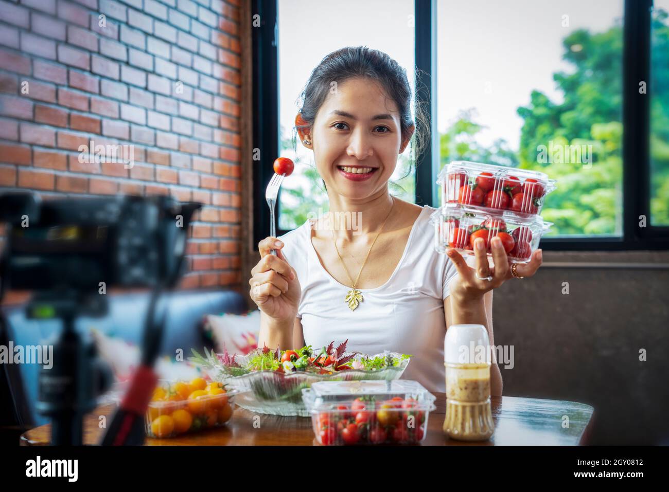 New vlog hi-res stock photography and images - Alamy