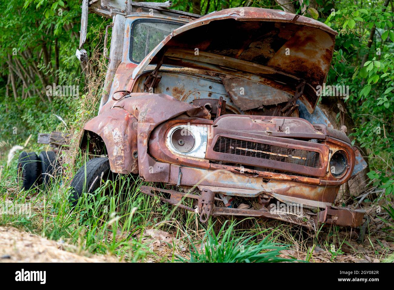 Old rusty abandoned car in the woods after war.Abandoned vehicle dumped in countryside field ...