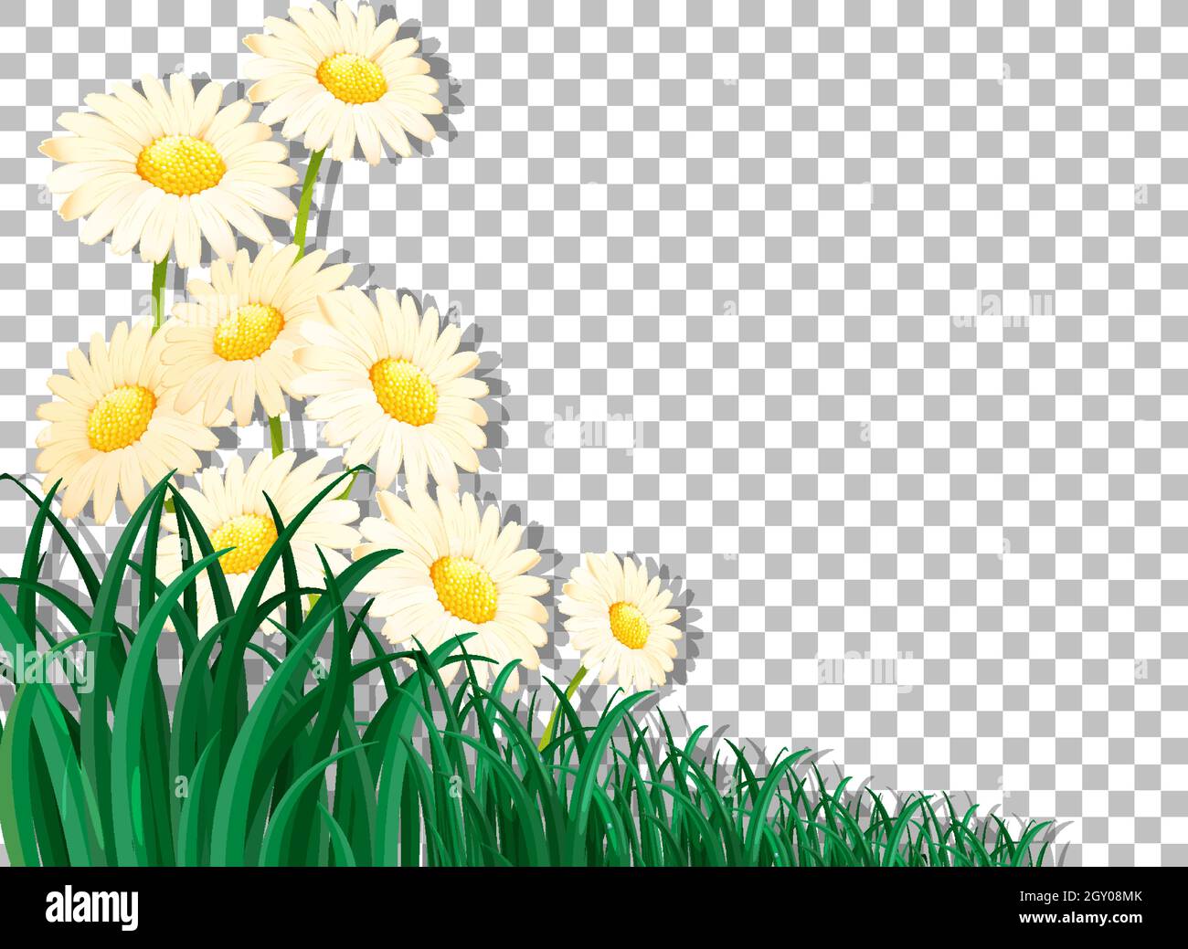 White flowers frame template on transparent background illustration ...