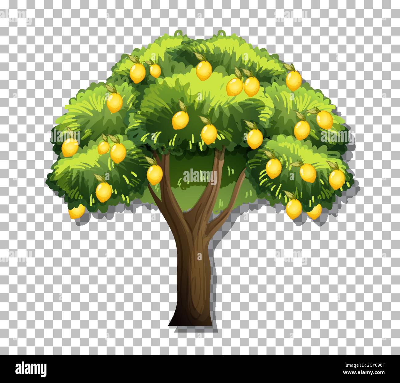 Lemon tree on transparent background illustration Stock Vector Image ...