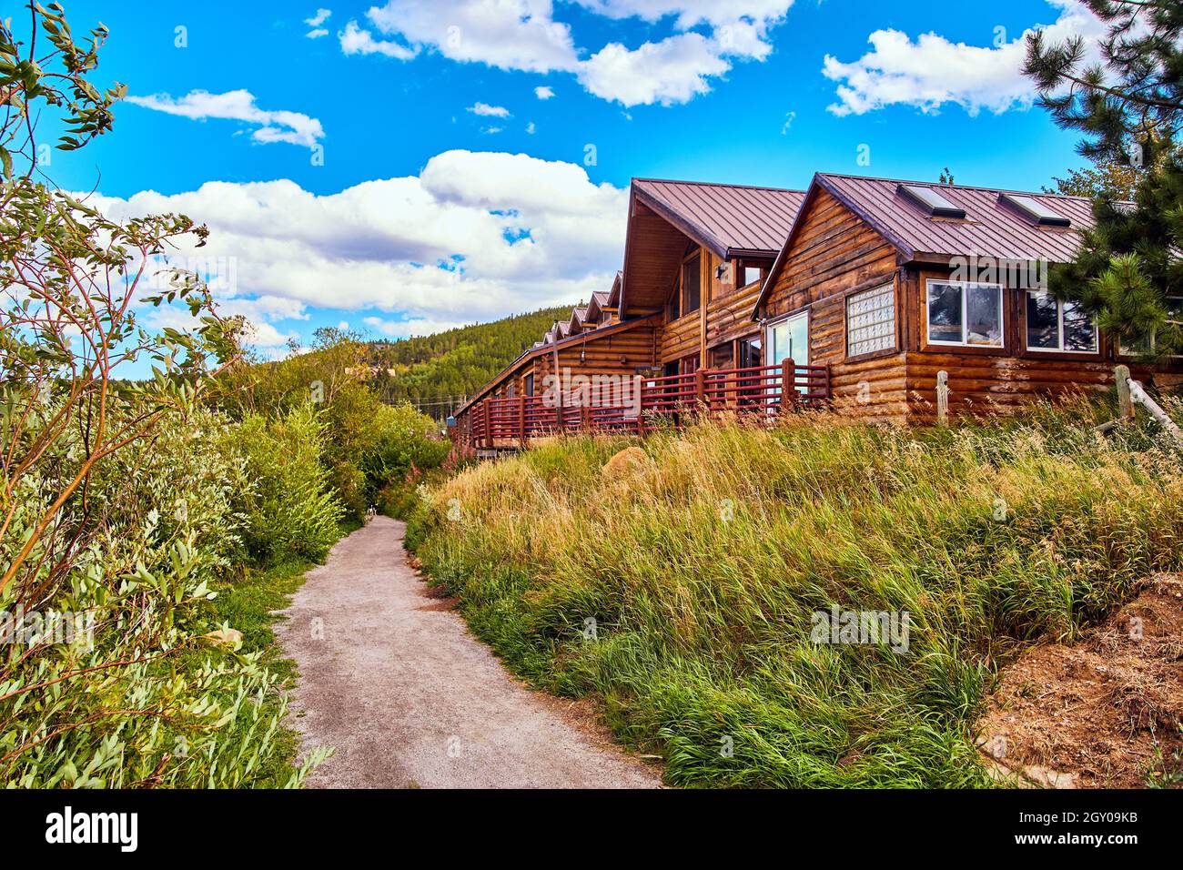 Path behind log cabin hotel in forest Stock Photo - Alamy