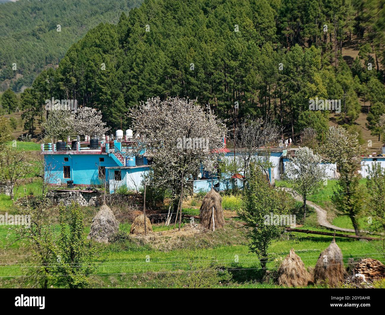 Multi colored village houses near the hill at Baijanath Stock Photo - Alamy