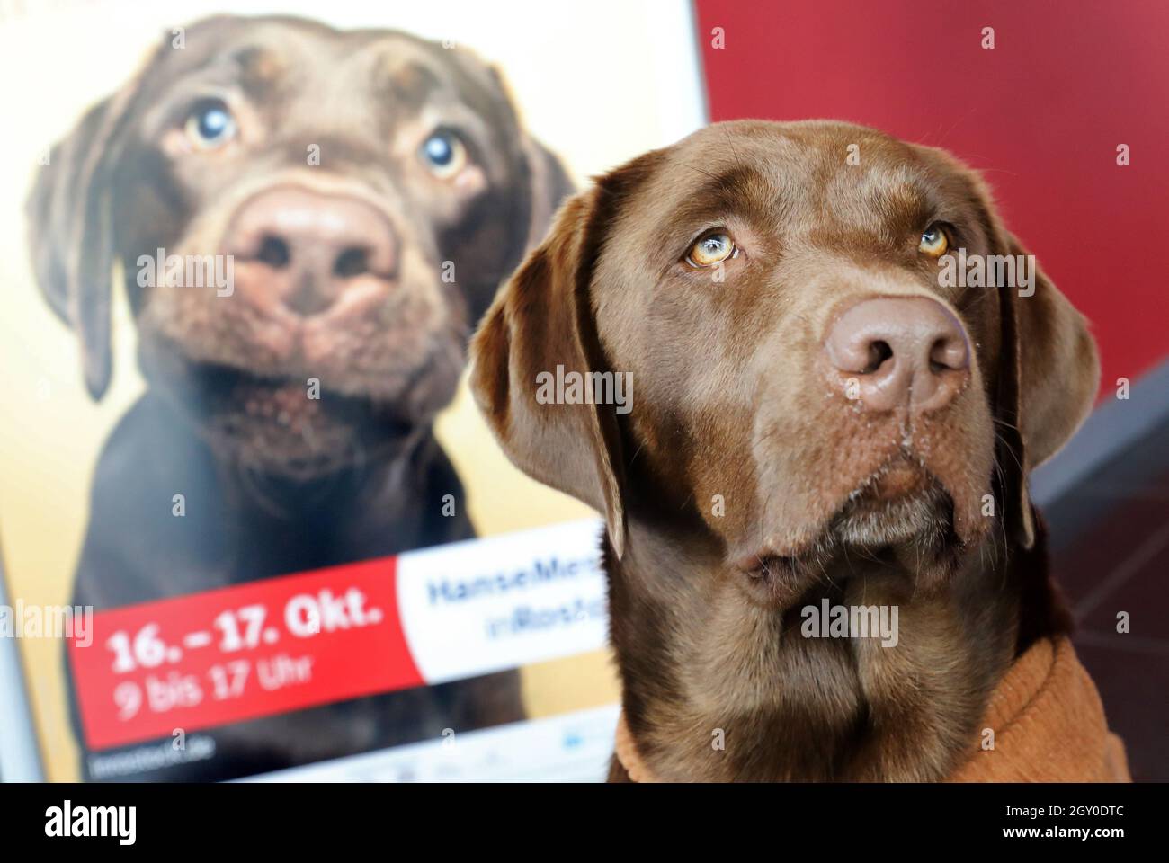 Rostock, Germany. 06th Oct, 2021. At the press conference to present ...