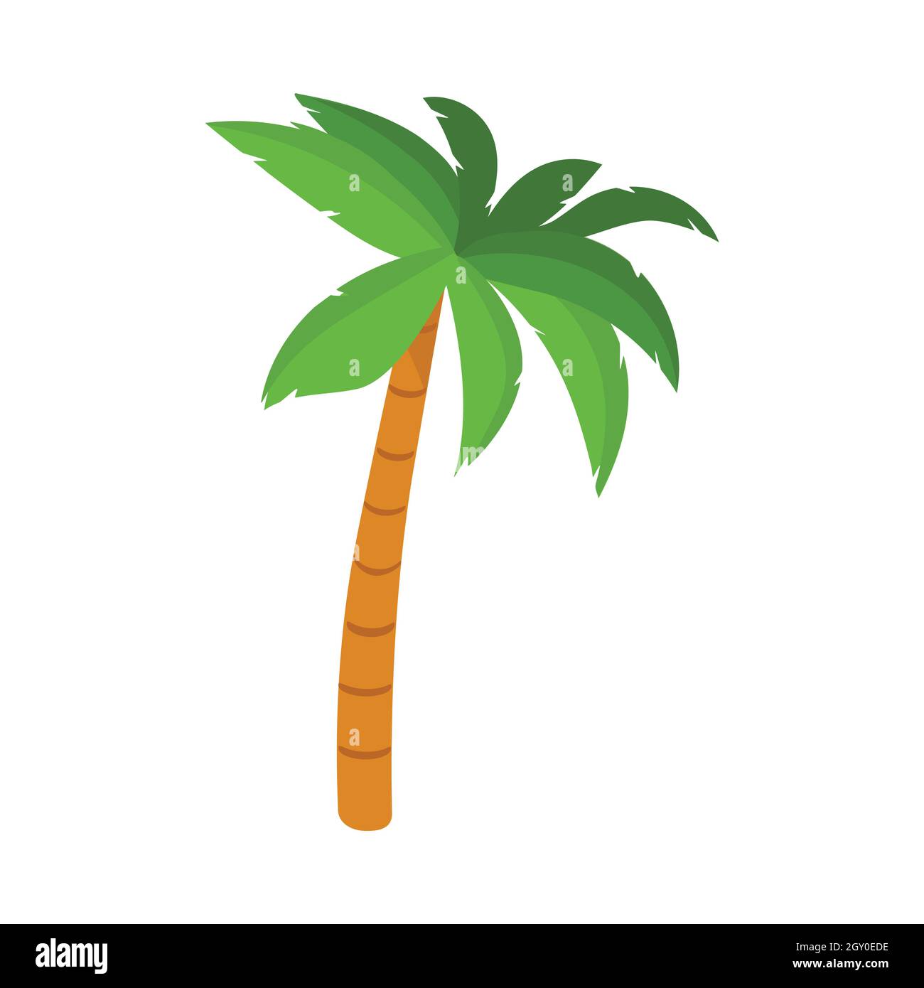 Palm tree vector illustration isolated on white background Stock Vector ...