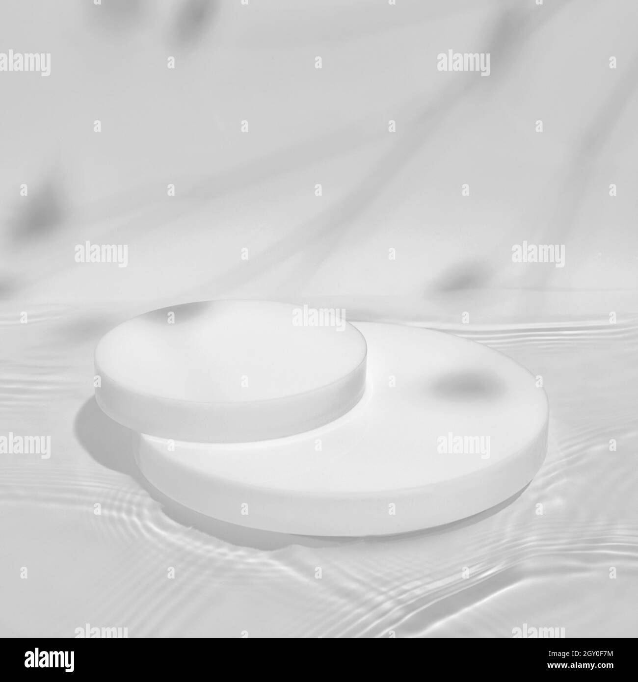 Transparent natural plant shadows Black and White Stock Photos & Images ...