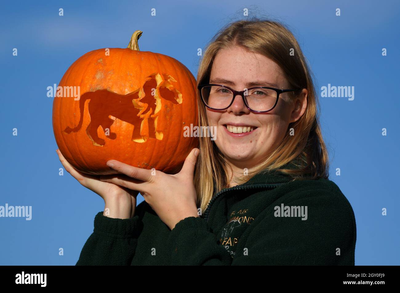Golden Retriever Pumpkin Pattern