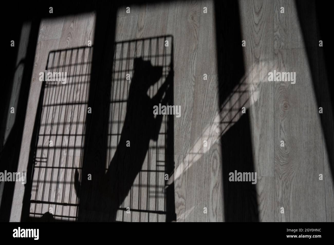 Shadow box fence hi-res stock photography and images - Alamy