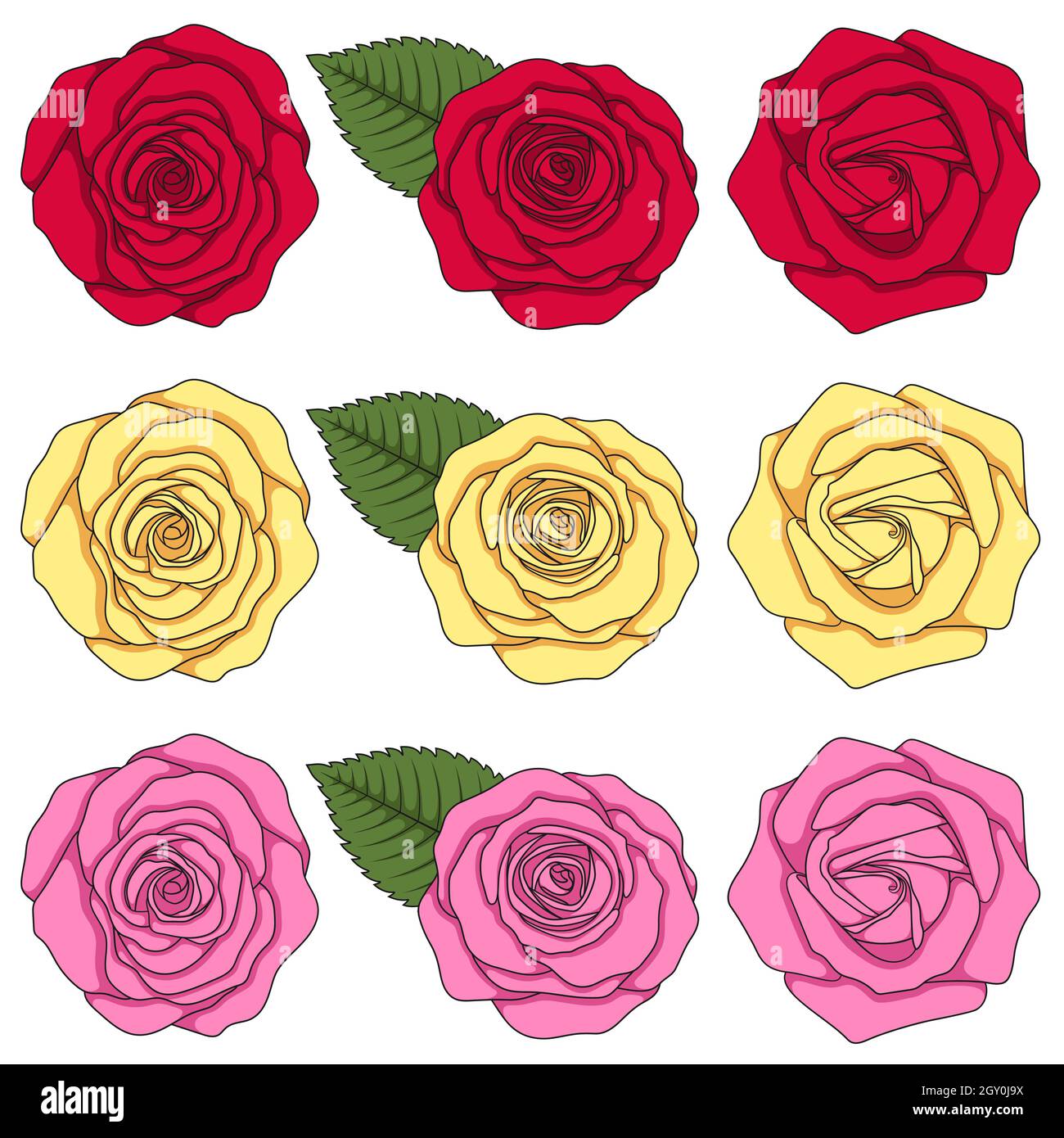 Set of color illustrations with roses and leaves. Isolated vector ...