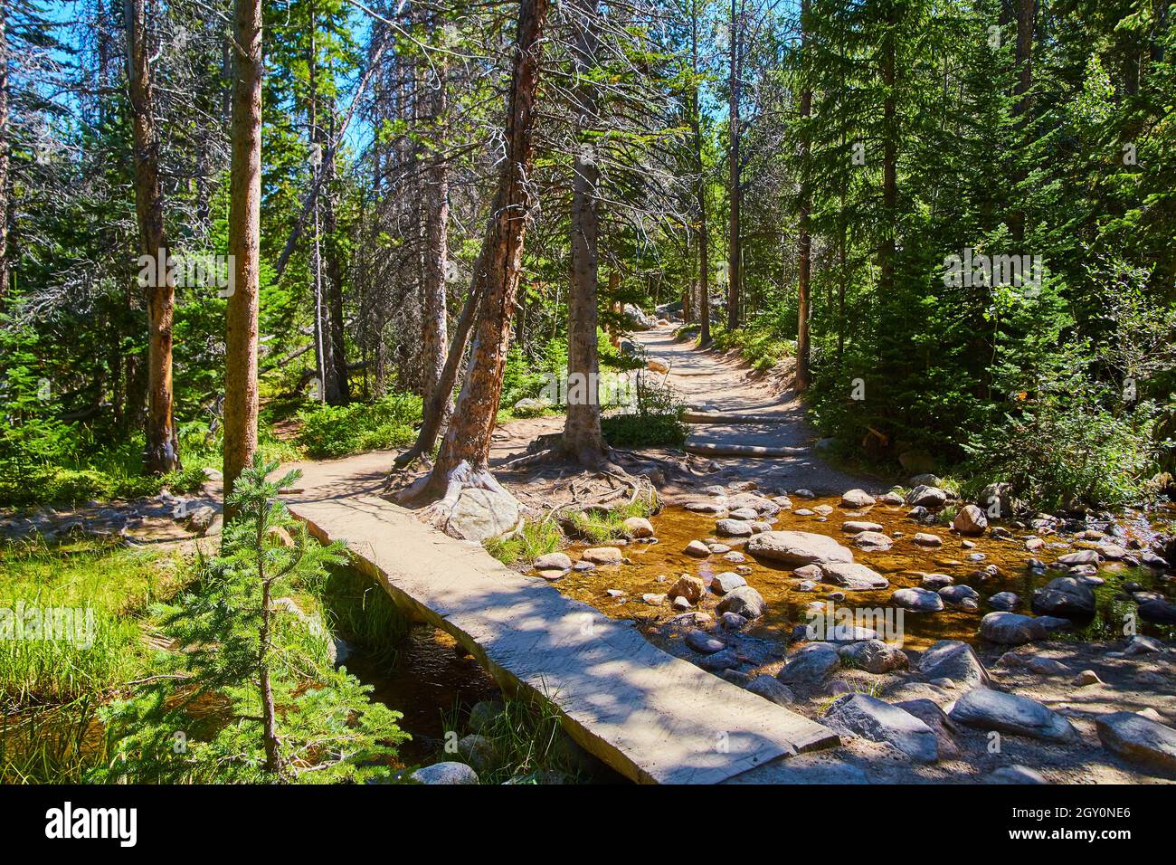 Log cut in half as bridge across river in forest park Stock Photo - Alamy