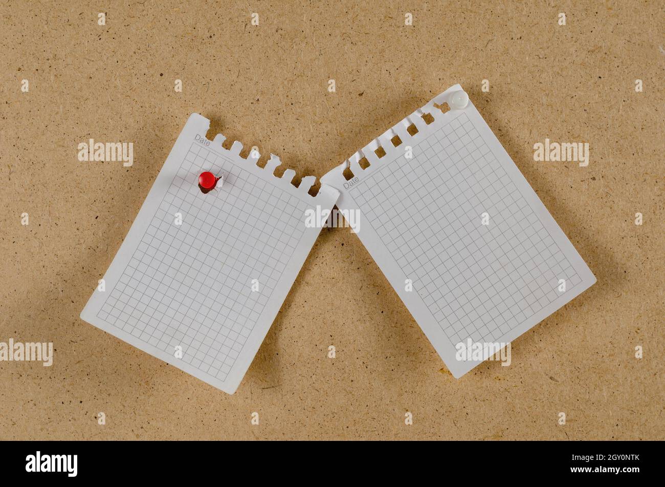 Two checkered pages pinned vertically against a brown background. Torn ...