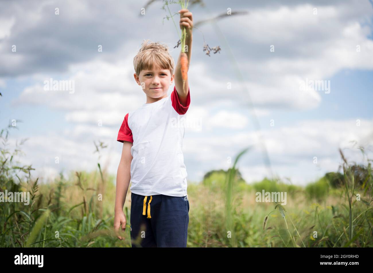Young boy picking up vegetables in the garden Stock Photo - Alamy