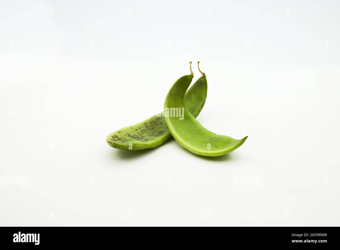 Lima large bean hi-res stock photography and images - Alamy