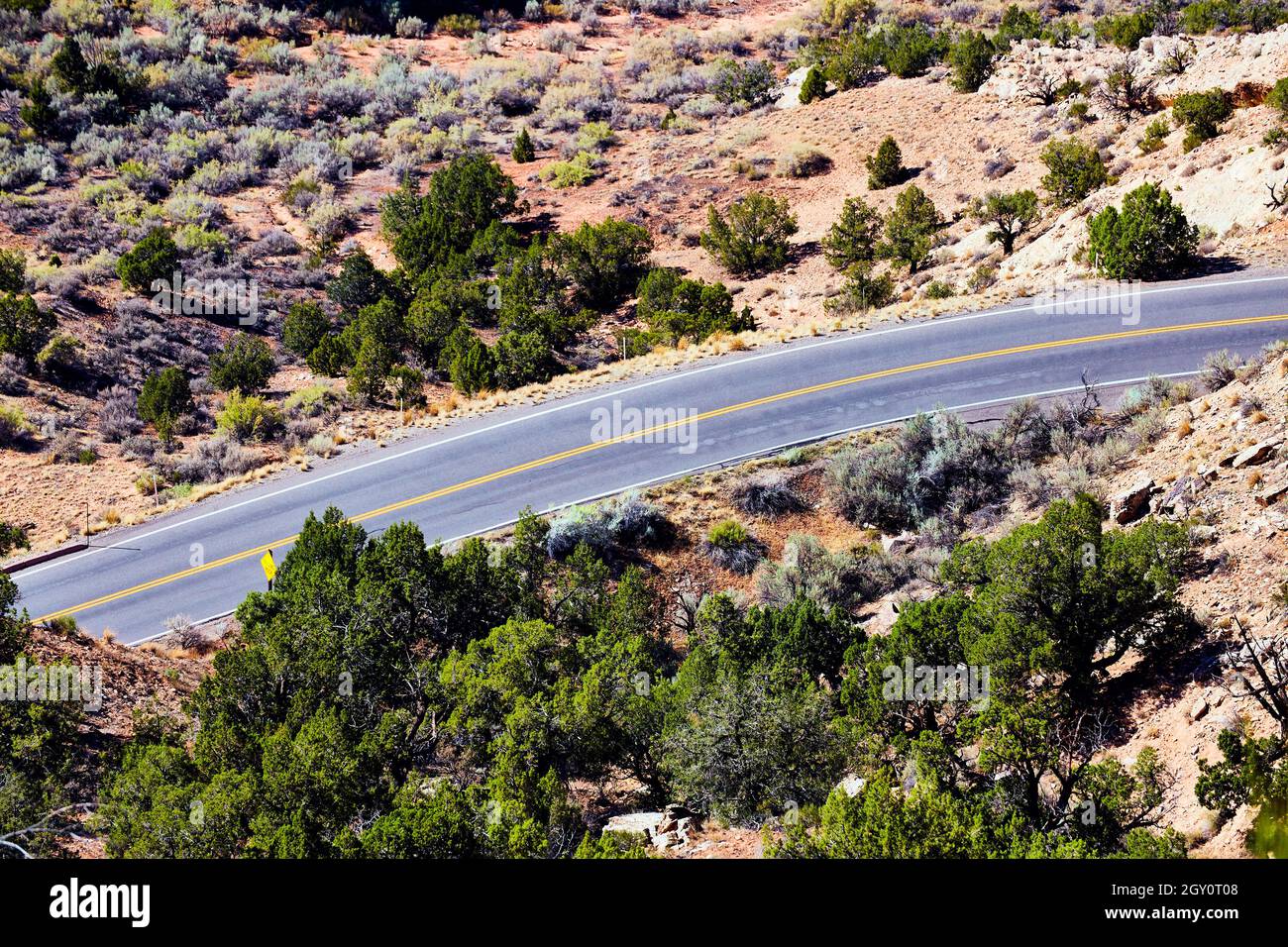 Green shrubbery hi-res stock photography and images - Alamy