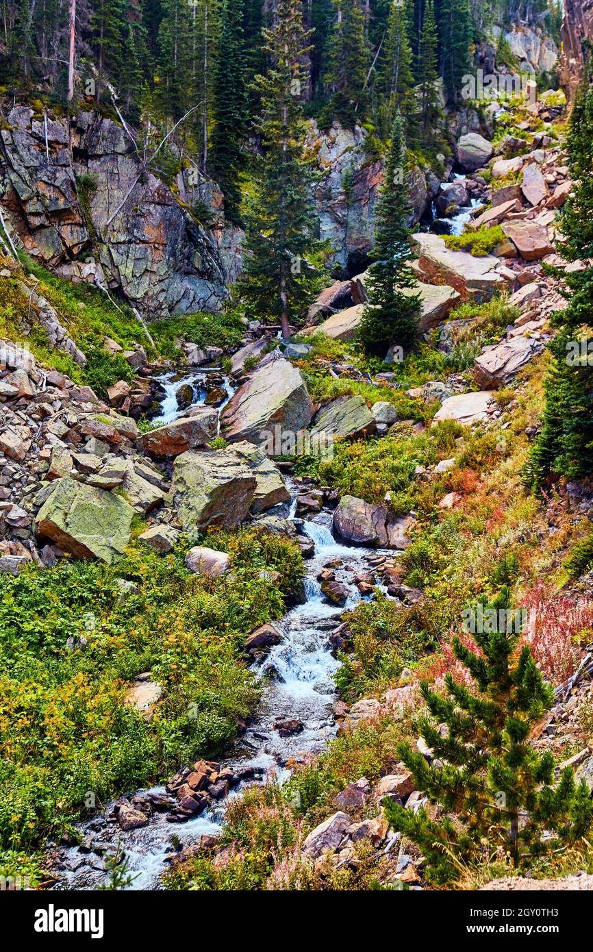 River down mountains with boulders and pine trees and lush green Stock ...