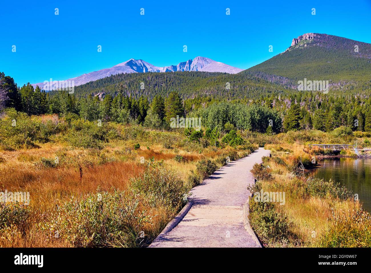 Walking path by pond in desert leading to mountains of pine trees Stock ...