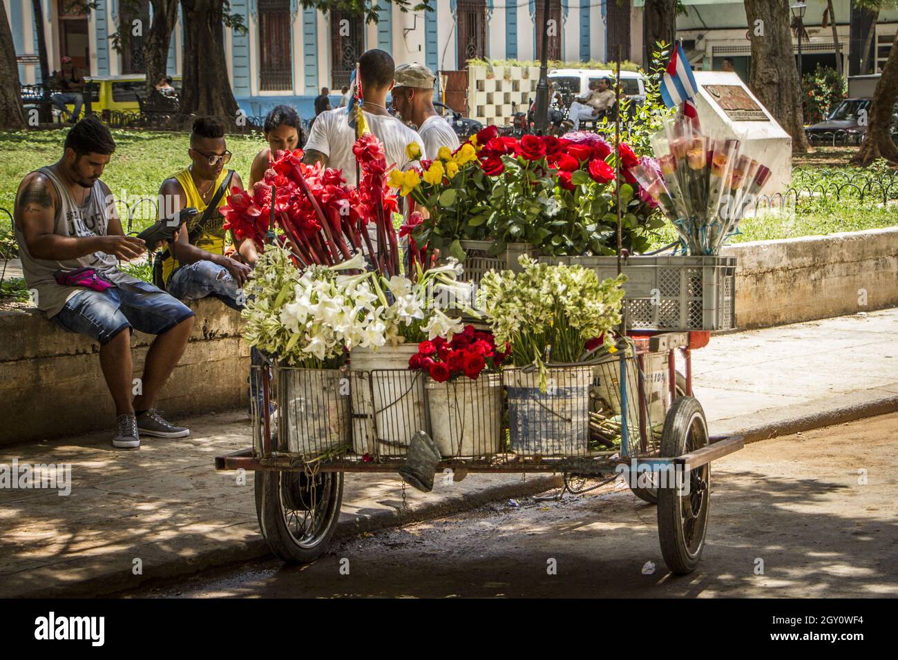 Flower pots on a cart hi-res stock photography and images - Alamy