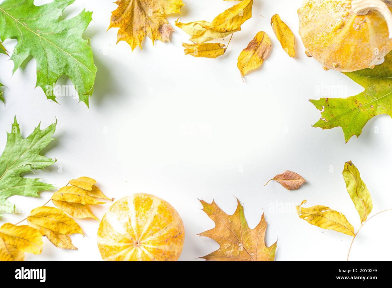 Simple Autumn leaf flatlay, colorful fall dried leaves and pumpkins on ...