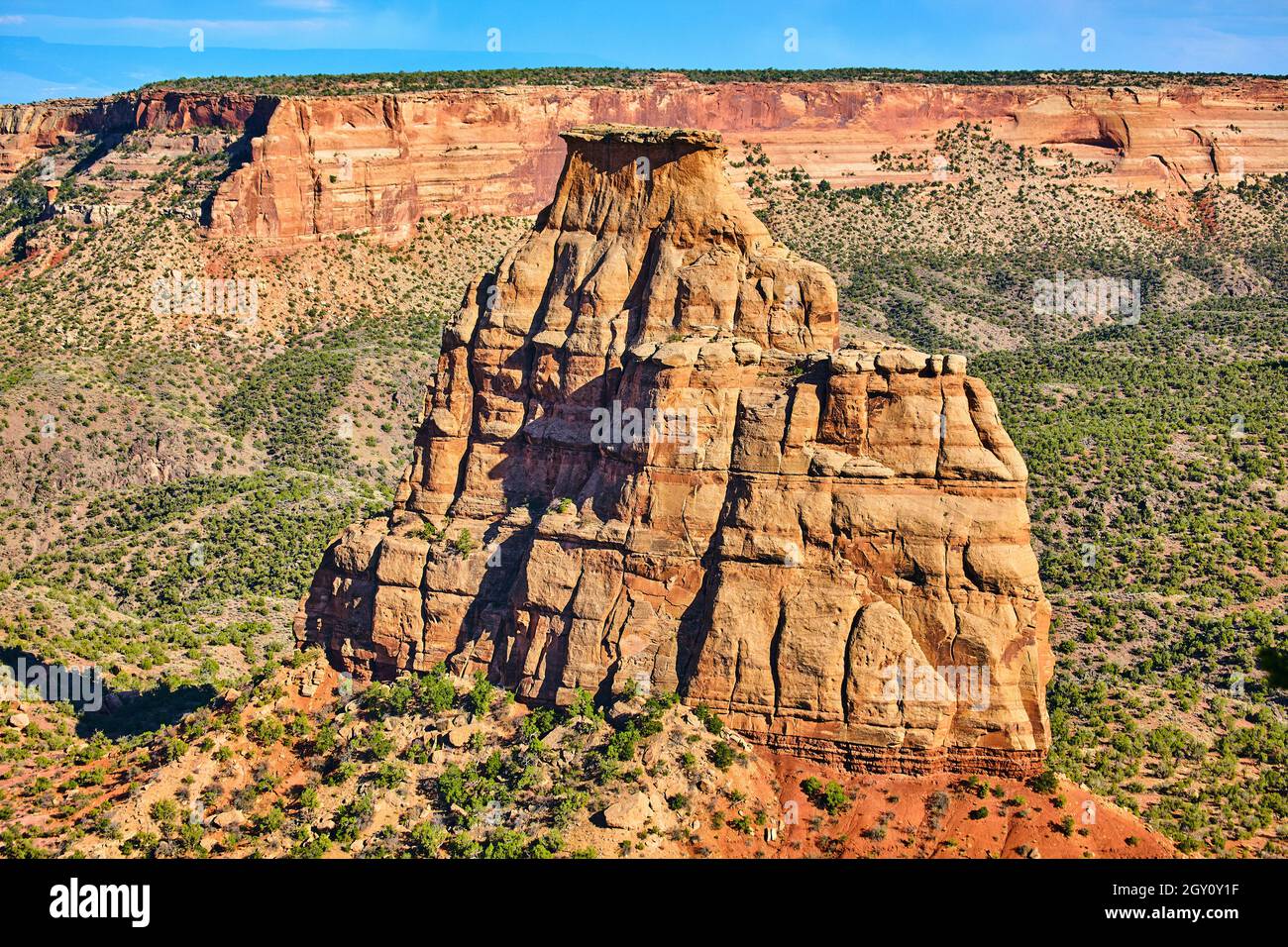 Lush green bushes hi-res stock photography and images - Alamy