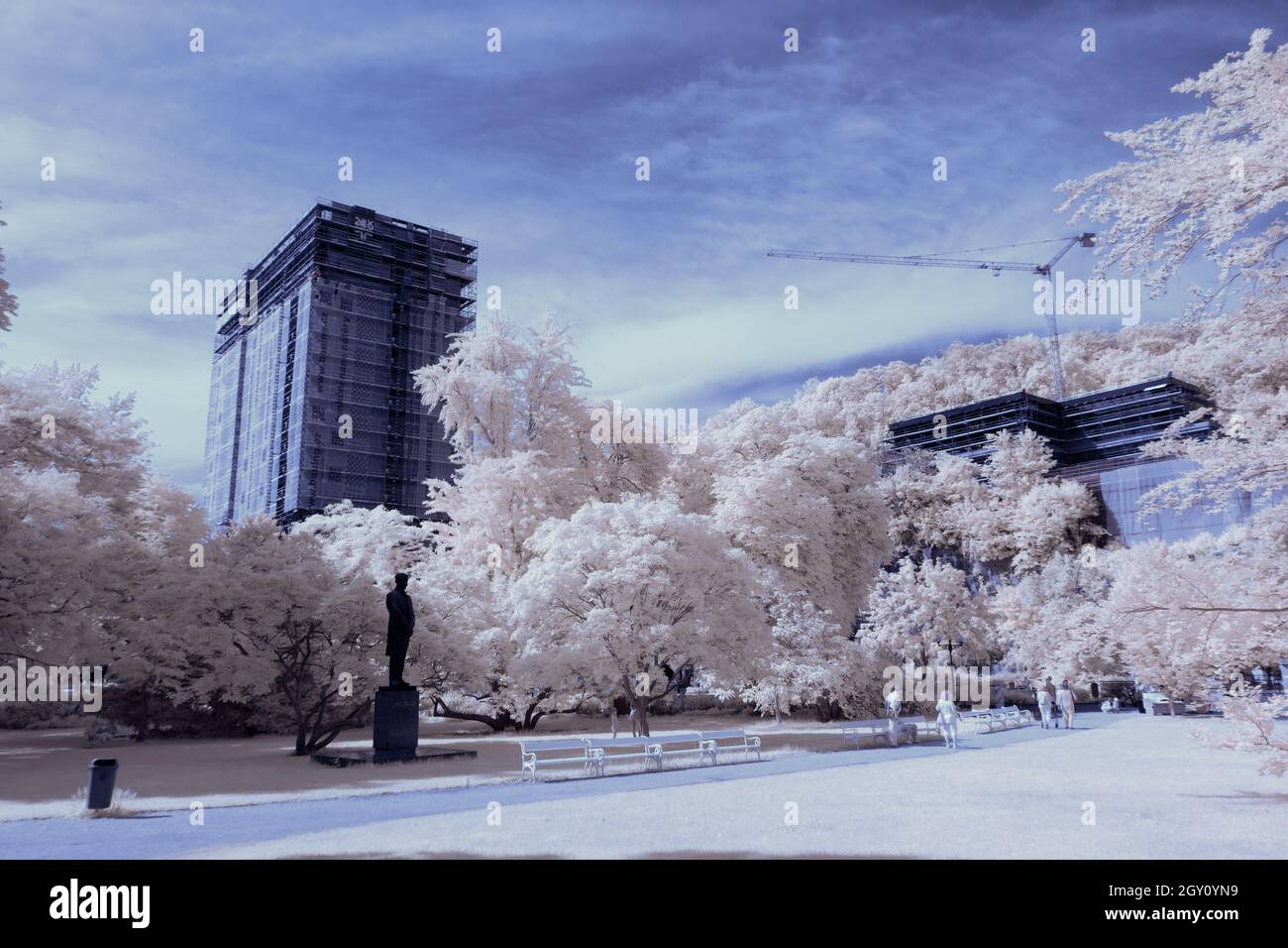 Infrared landscape with glowing white vegetation using 720nm filter ...