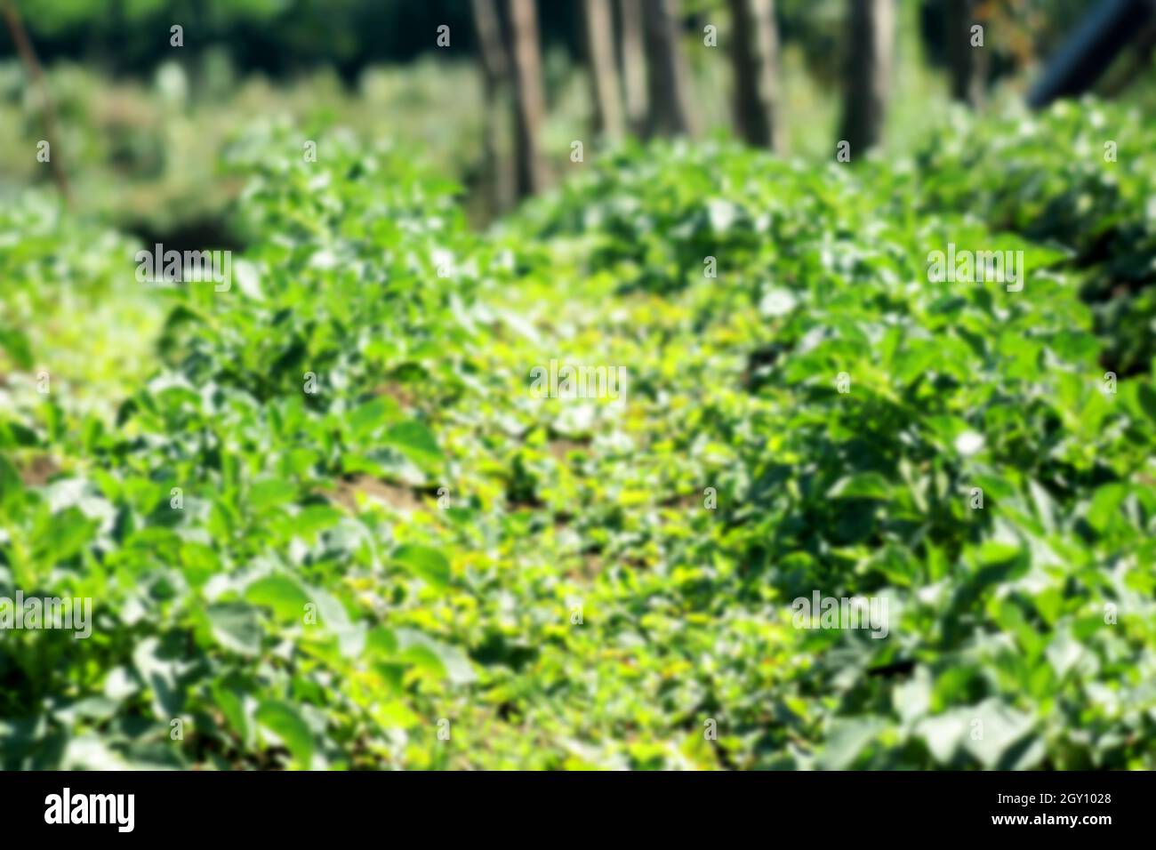 Climate focused hi-res stock photography and images - Alamy