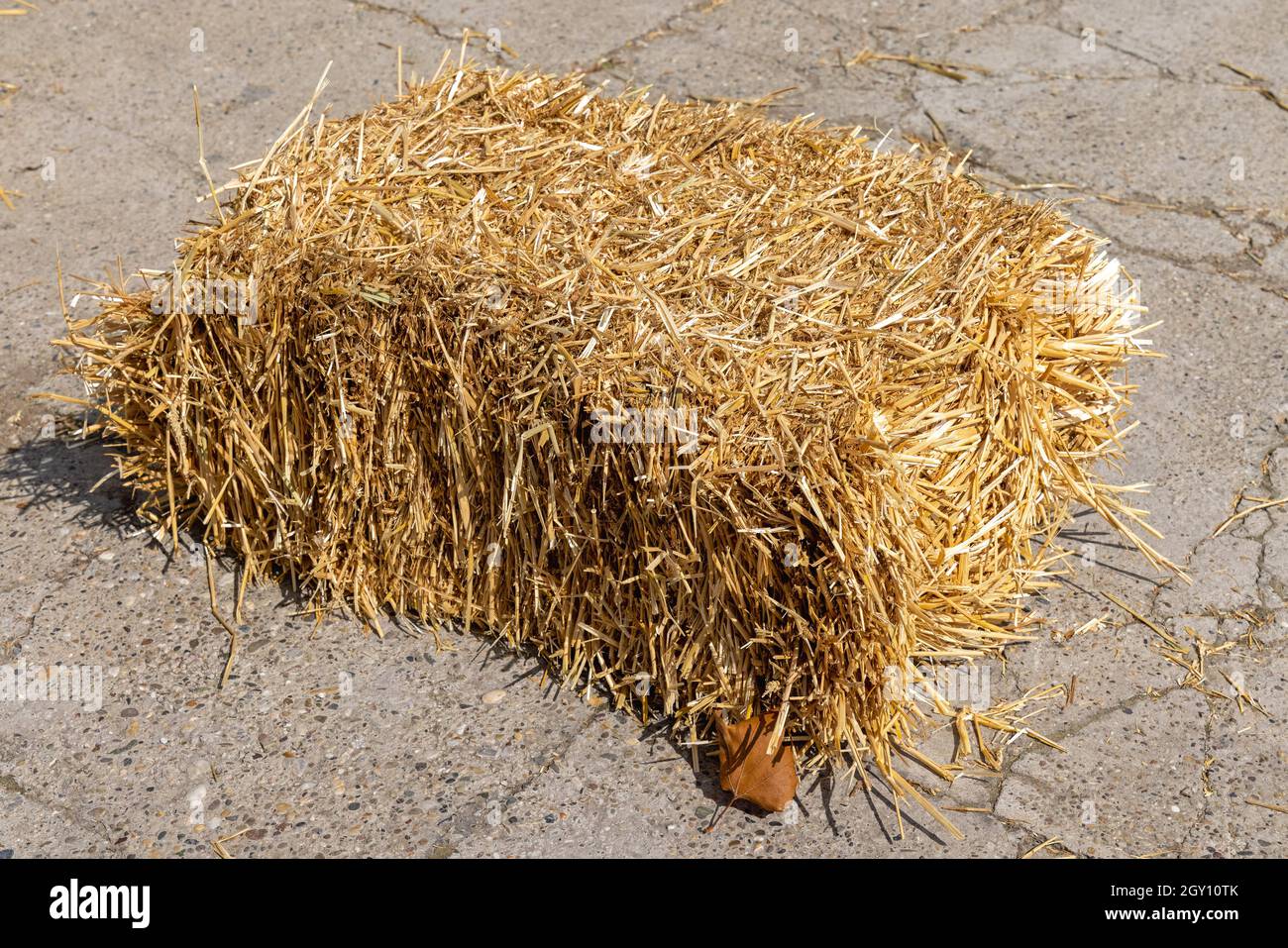 One Square Shape Yellow Straw Hay Bale Animal Feed Stock Photo - Alamy