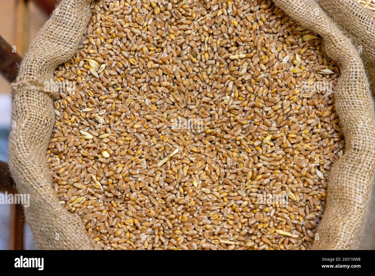 Wheat Grains Agriculture Farm Harvest in Sack Stock Photo - Alamy