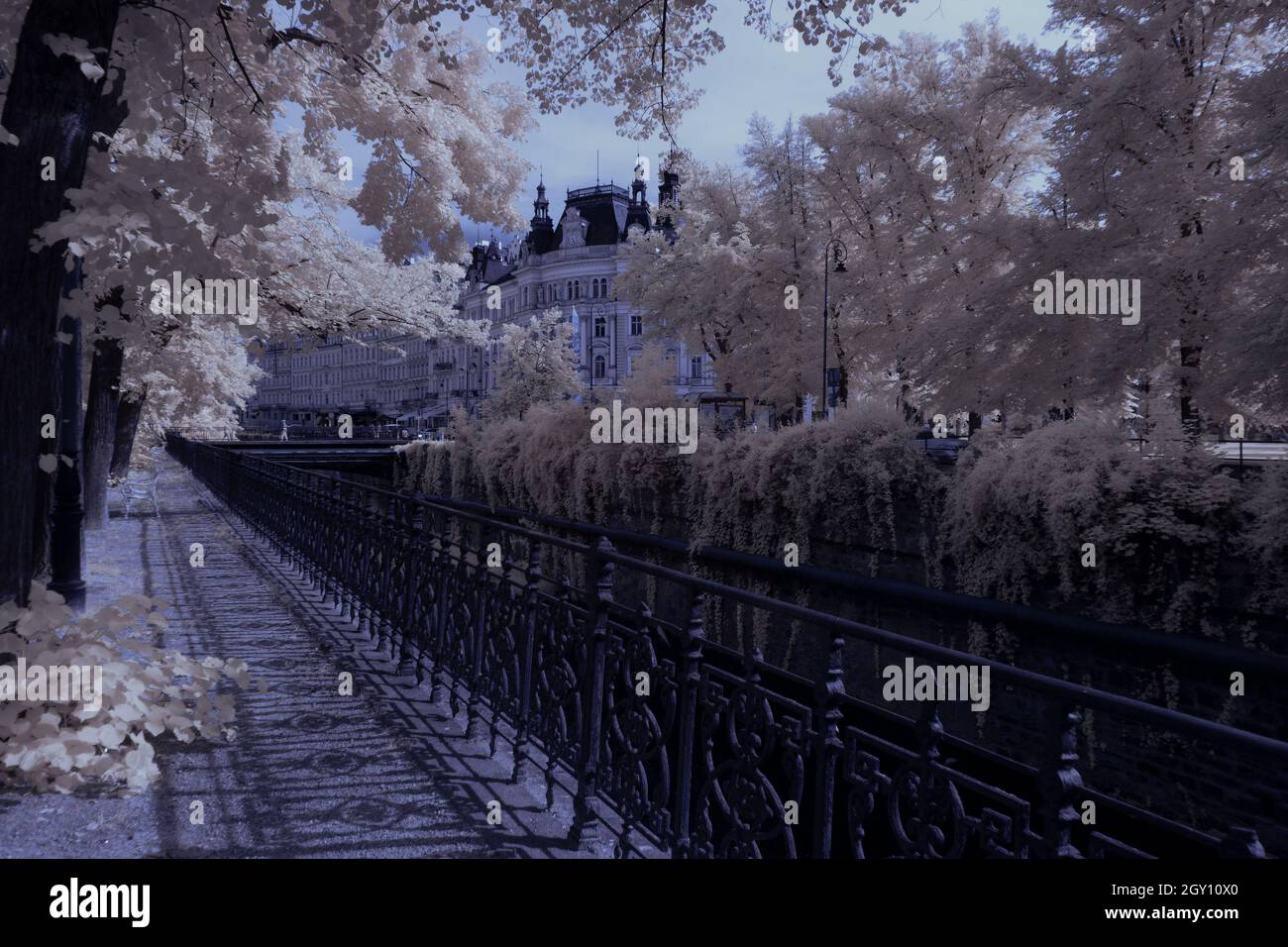 Infrared landscape with glowing white vegetation using 720nm filter ...