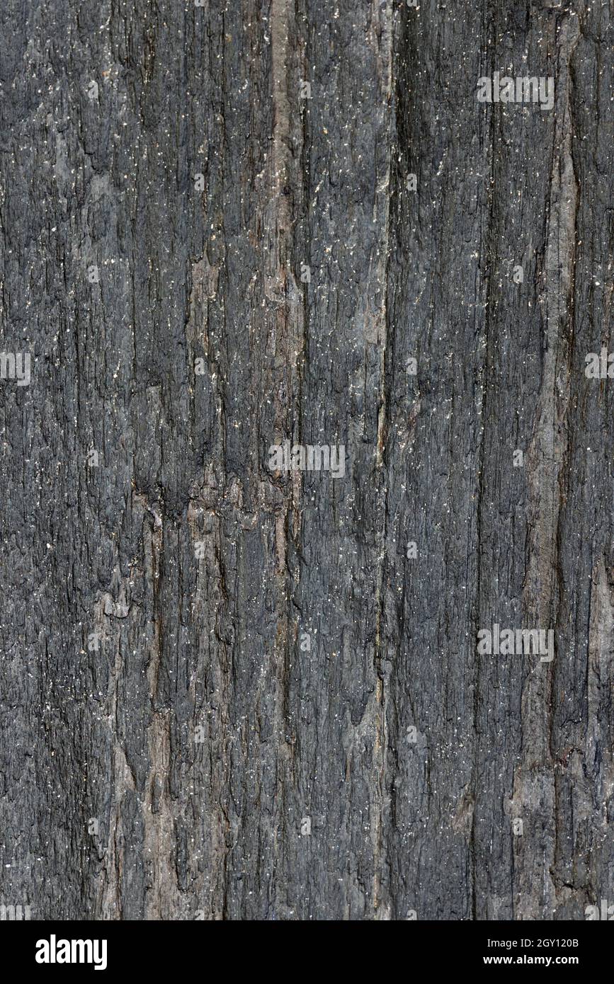 Welsh slate hi-res stock photography and images - Alamy