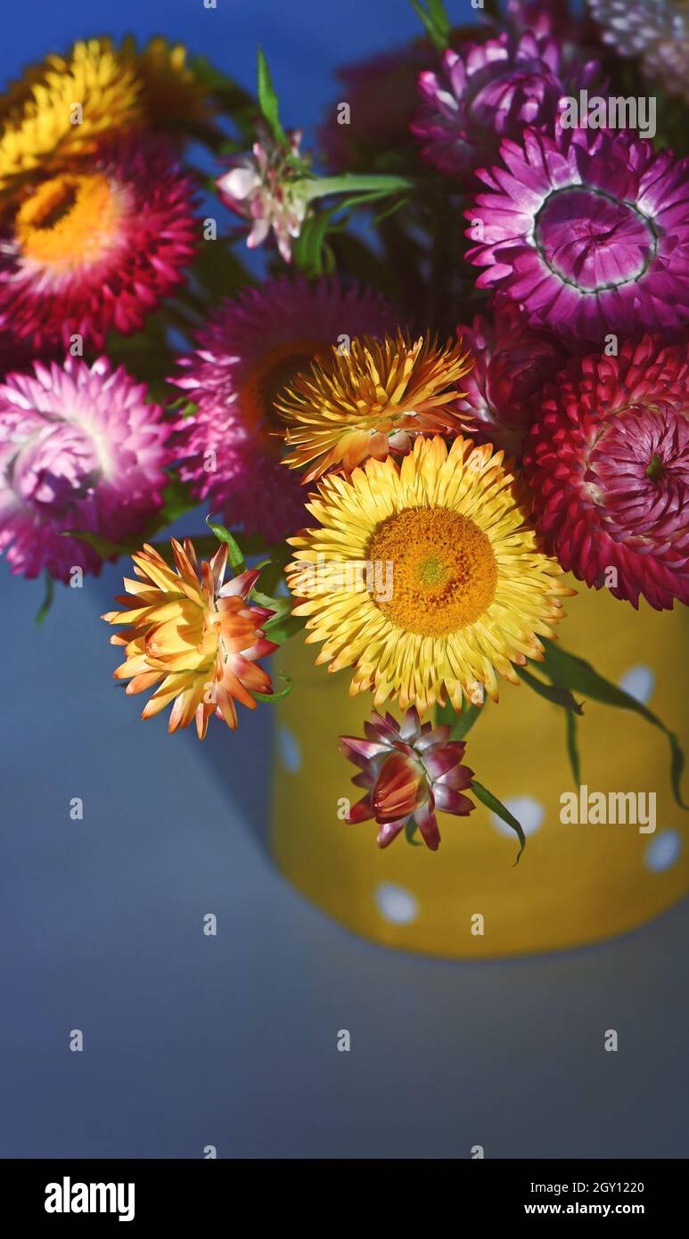 Australian native bouquet hi-res stock photography and images - Alamy