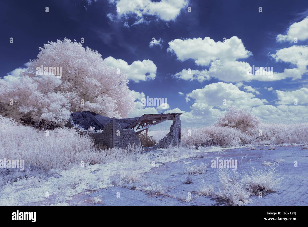 Infrared landscape with glowing white vegetation using 720nm filter ...
