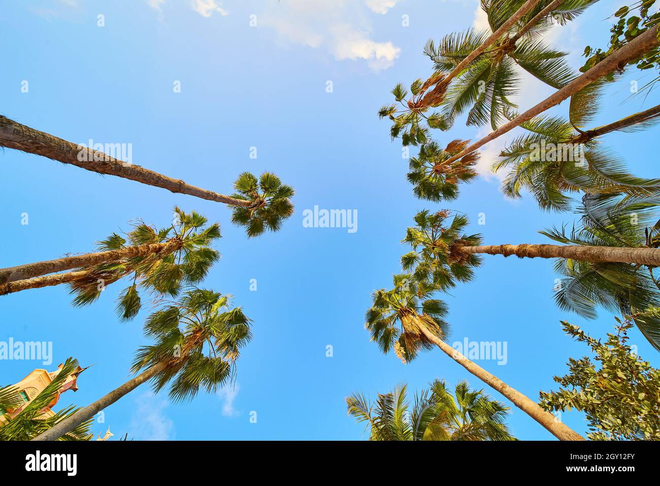 Cluster of tall hi-res stock photography and images - Alamy