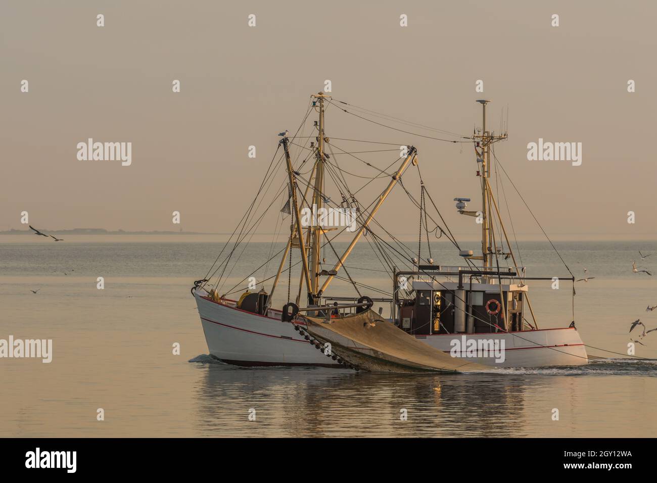 Fish Net Trawler Catch High Resolution Stock Photography and Images - Alamy