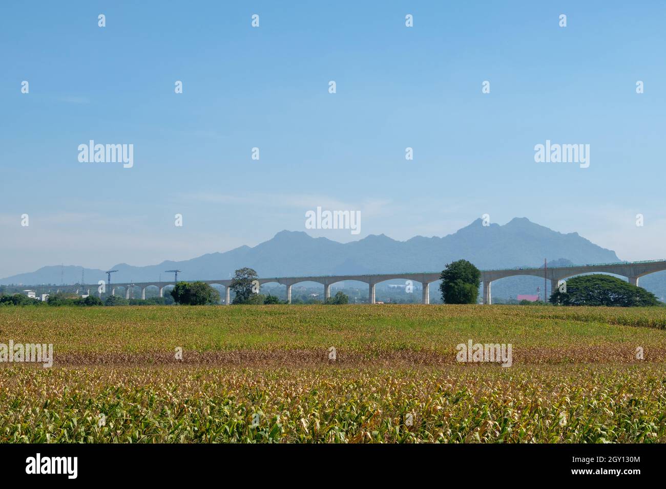 The elevated railway bridge of the double-track project is under ...