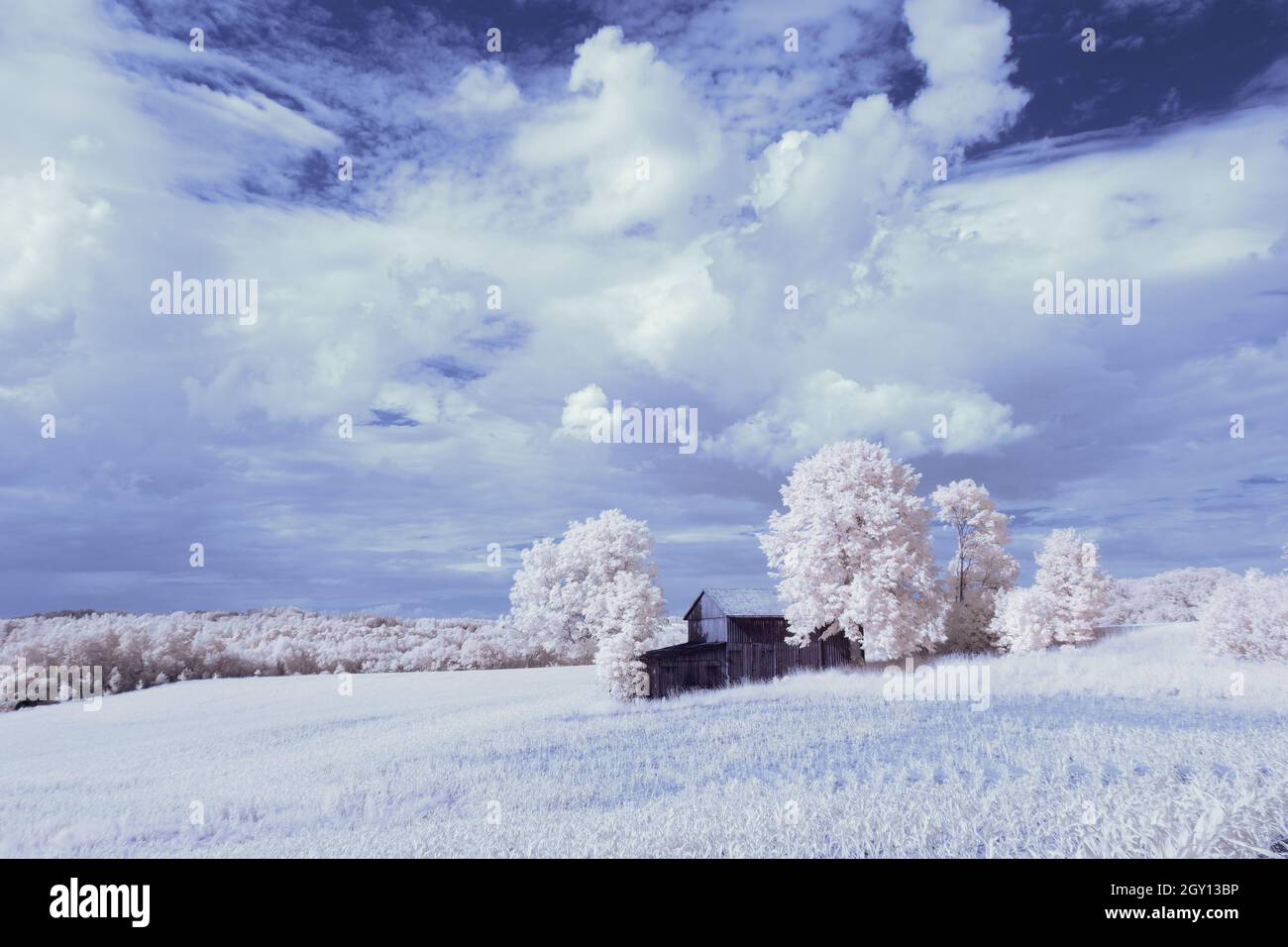 Infrared landscape with glowing white vegetation using 720nm filter ...