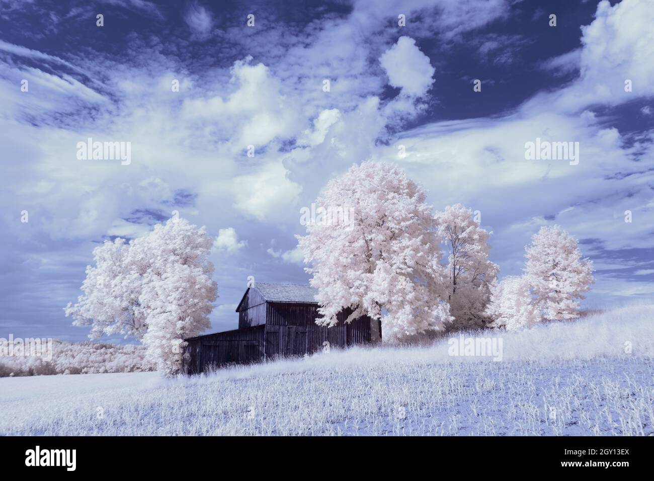 Infrared landscape with glowing white vegetation using 720nm filter ...
