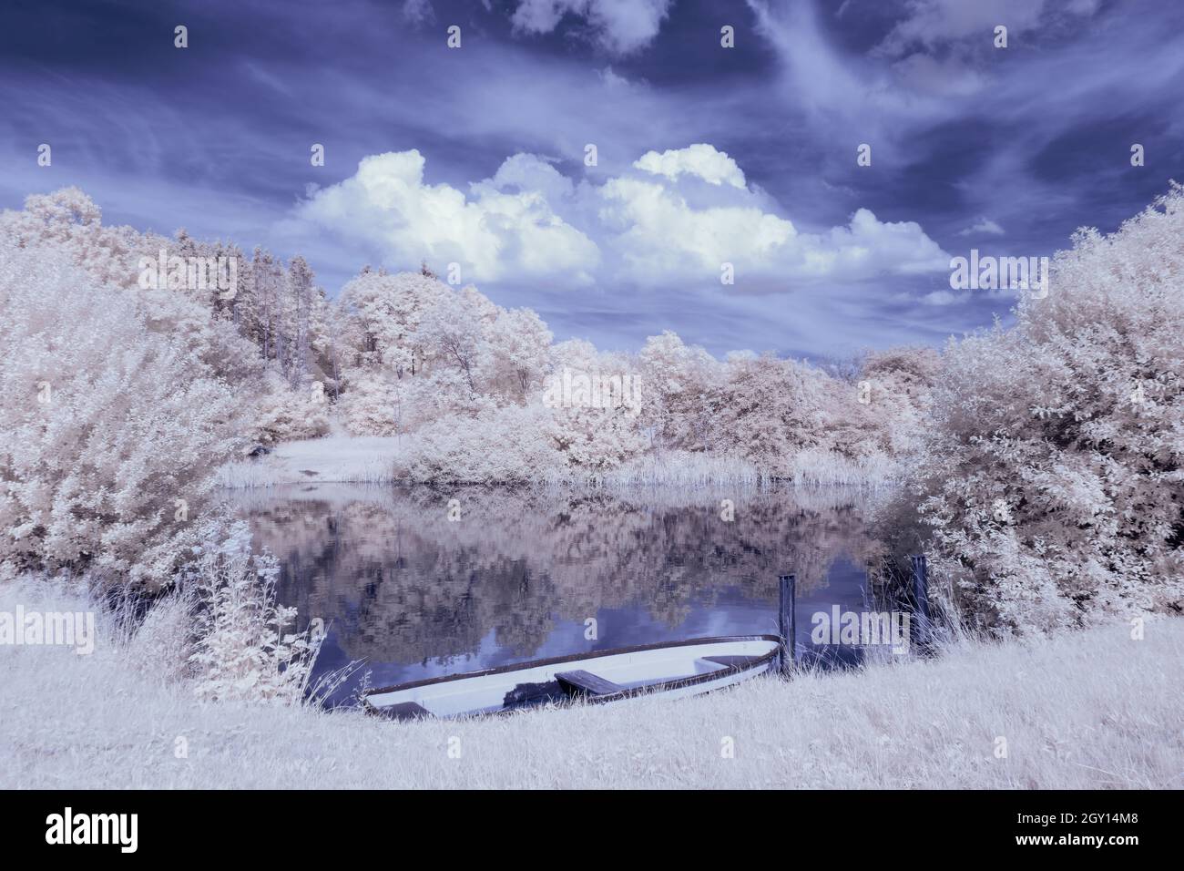 Infrared landscape with glowing white vegetation using 720nm filter ...