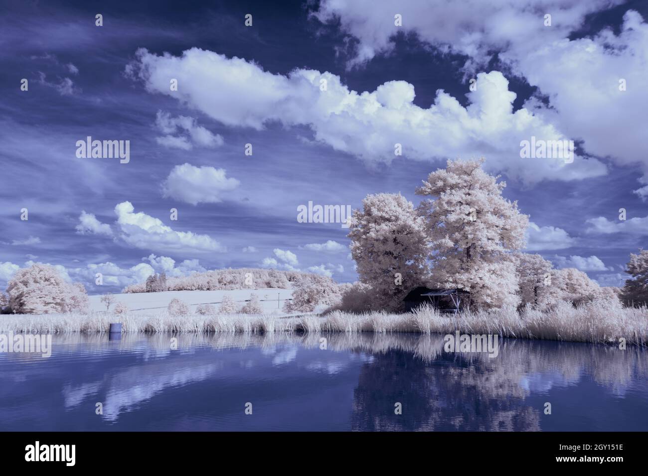 Infrared landscape with glowing white vegetation using 720nm filter ...