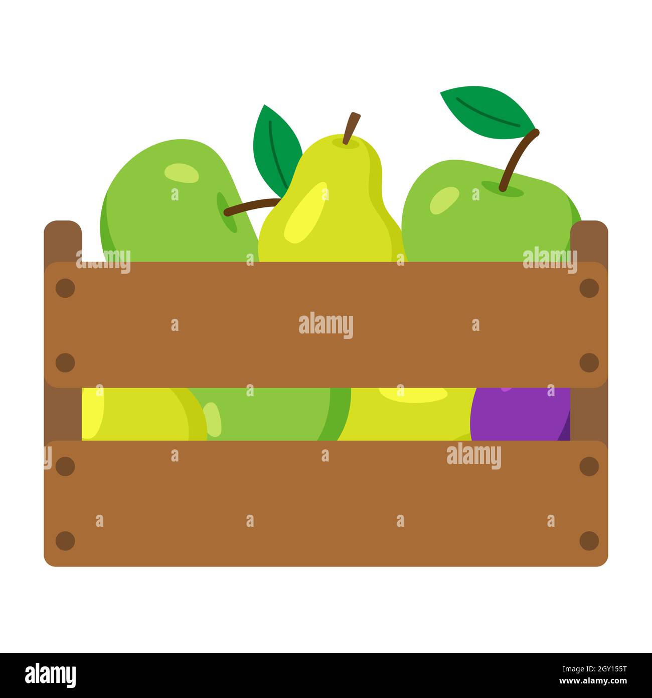 Fruit harvest plums in Stock Vector Images - Alamy